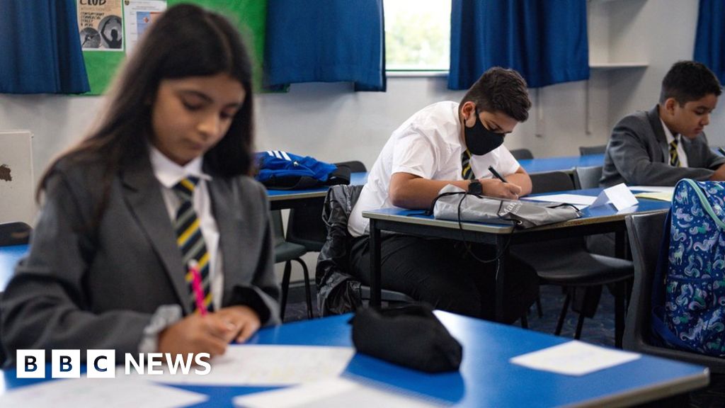 Coronavirus: Reading council says test shortage could 'paralyse' schools