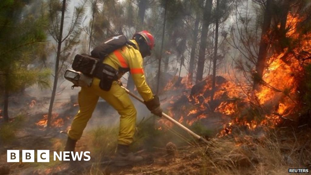 Chile forest fires: 43 detained for suspected arson - BBC News