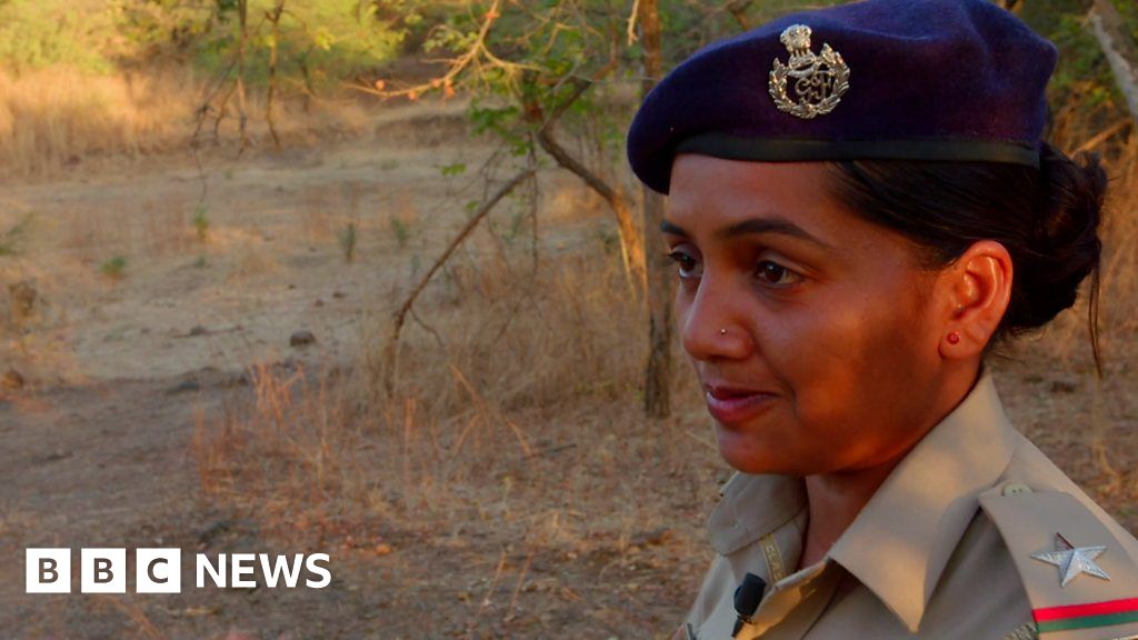 Meet India's first female forest rangers - BBC News