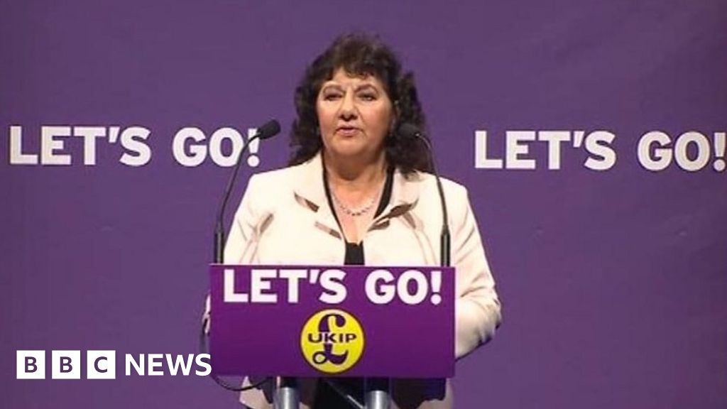 UKIP AM Caroline Jones 'only joined party to leave EU'