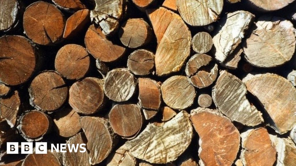 Q&A: What is biomass? - BBC News