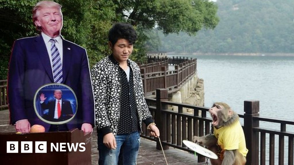 China for Trump? Why some trends are going his way - BBC News