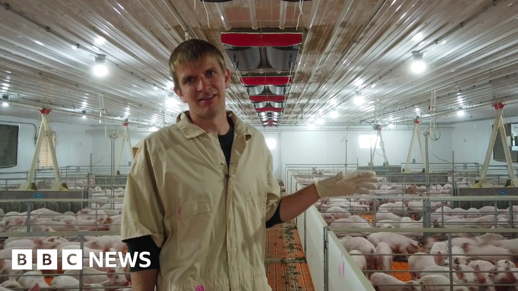 Coronavirus: Meat shortage leaves US farmers with 'mind-blowing' choice ...