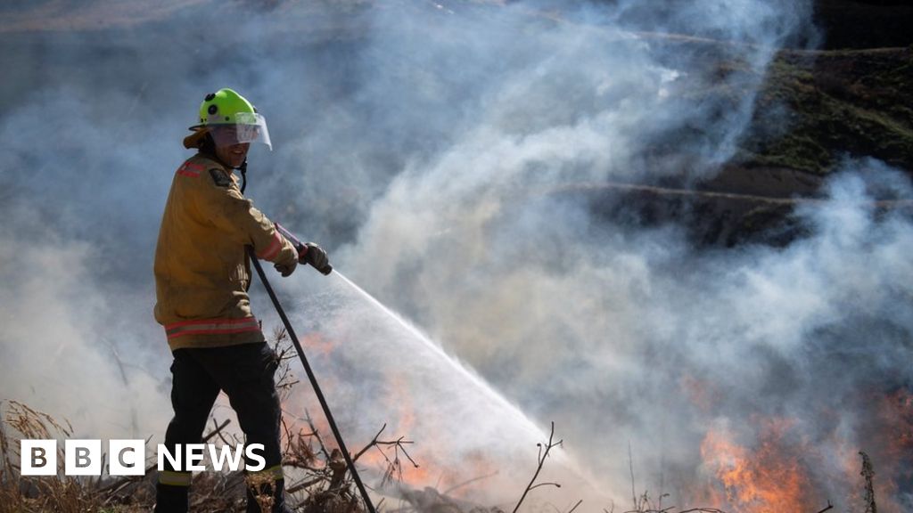 New Zealand wildfire: Thousands of people evacuated near Nelson - BBC News