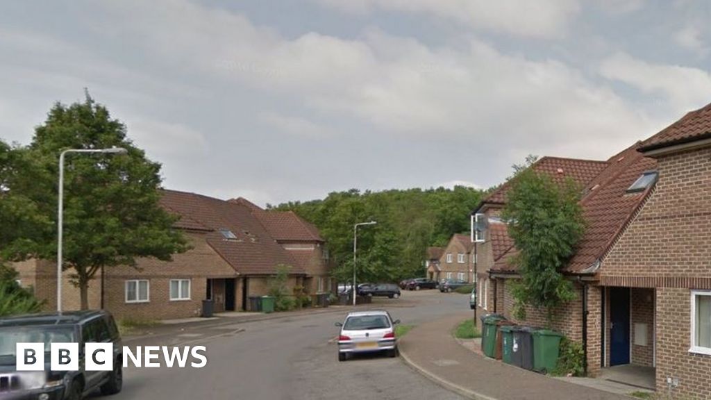 Boy, 16, charged with murder over Chingford stabbing - BBC News