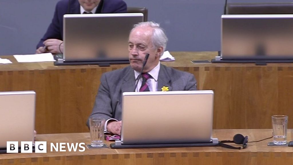 UKIP's Neil Hamilton blocked by AMs from taking assembly job - BBC News