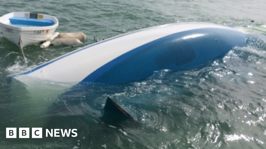 Florida: US couple hope to recover their sunken 'dream' boat - BBC News