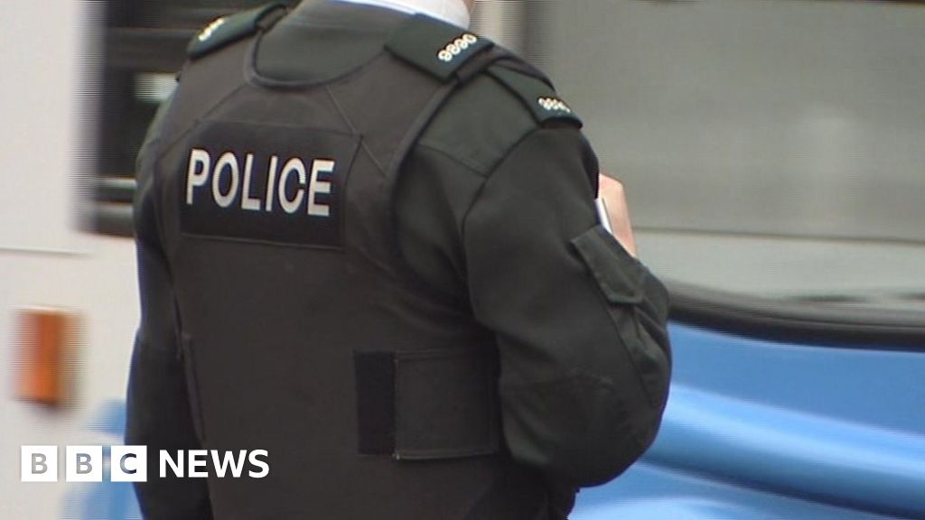 Belfast: Masked gang ransacks pensioner's home - BBC News
