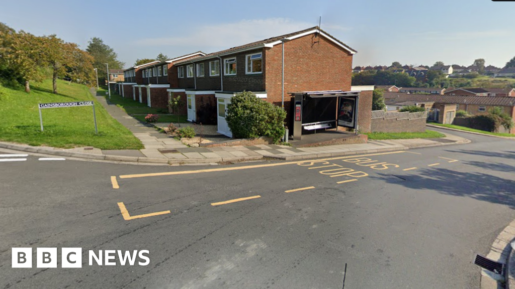 Salisbury stabbing: Man appears in court for murder - BBC News