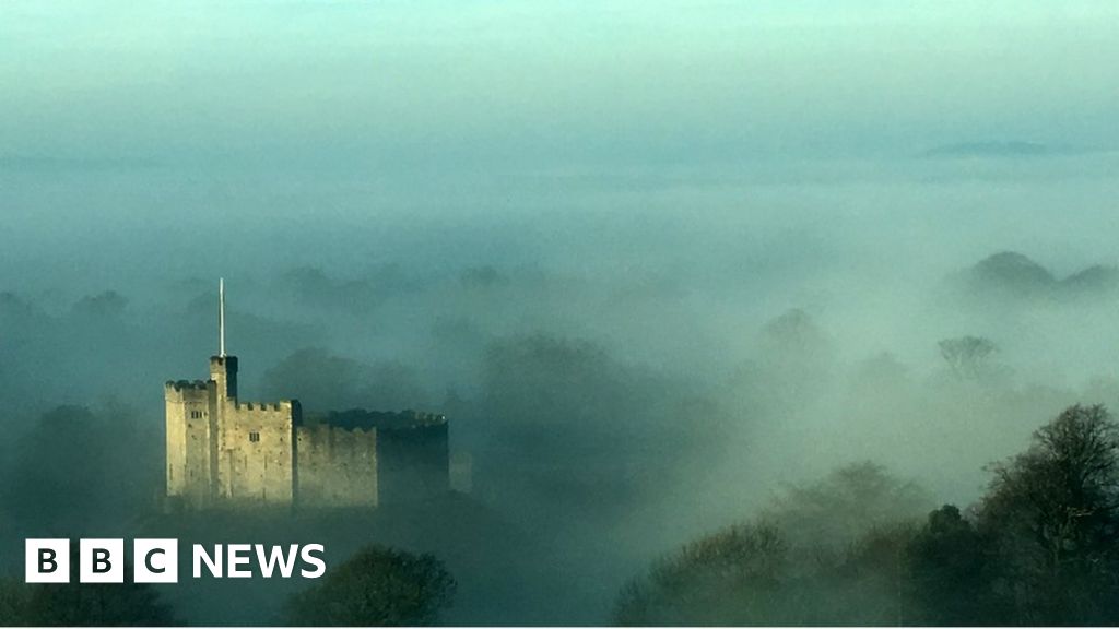 Your Pictures in Wales: 9-14 February 2017 - BBC News