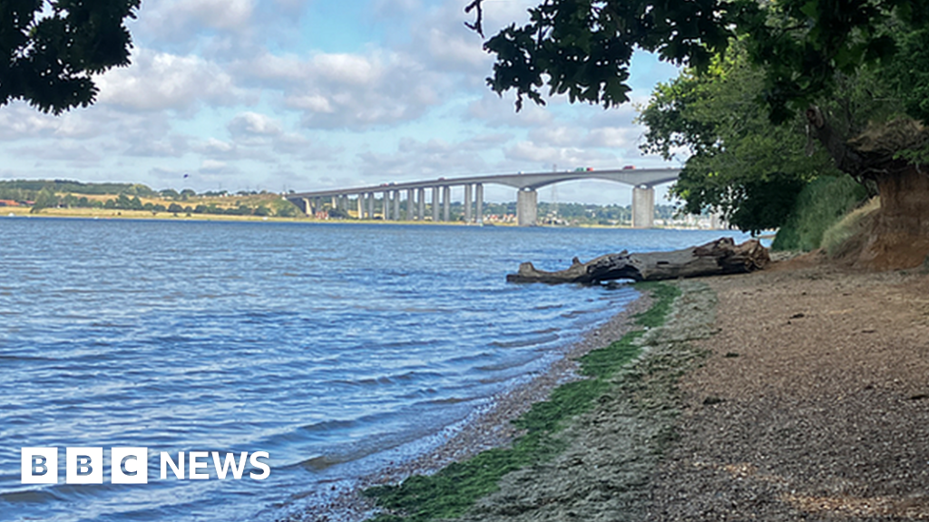 Orwell Country Park: 'Out-of-control' dog is shot dead by police