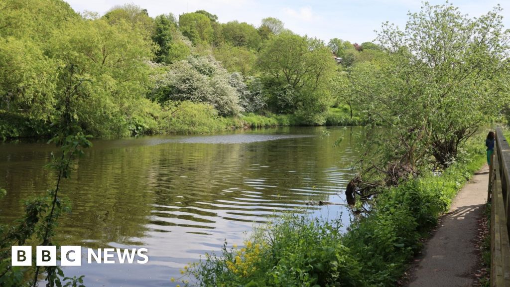 Concerns over state of River Tees bank in Yarm - BBC News