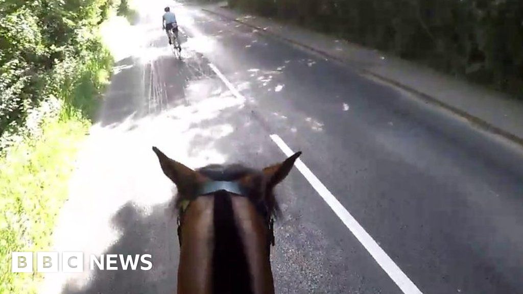 'Horse hit' as Windsor Triathlon cyclists passes