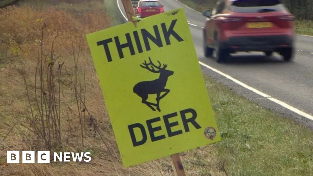 Motorists warned as deer crashes increasing on Lincolnshire roads