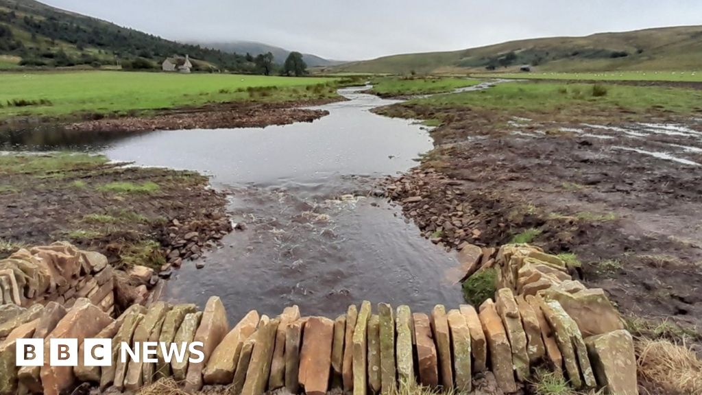 Howgill Beck: Straightened stream 're-wiggled' to attract wildlife