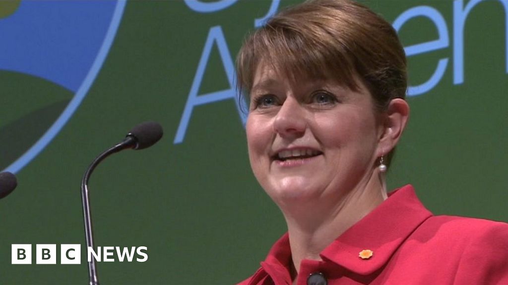 Time to win for Wales, says Plaid leader Leanne Wood - BBC News