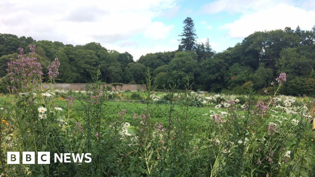 Florencecourt Victorian kitchen garden revived - BBC News