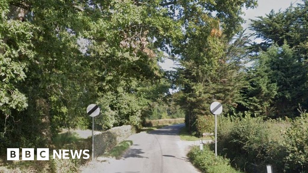 Netley Marsh cyclist crash: Man in 30s dies on country lane - BBC News