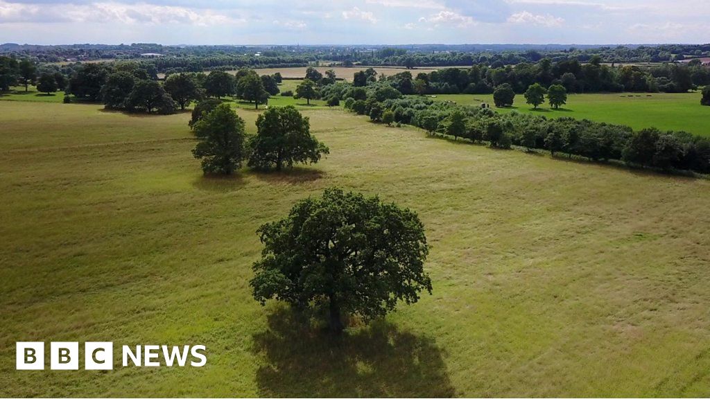 Algorithm learns to understand natural beauty - BBC News