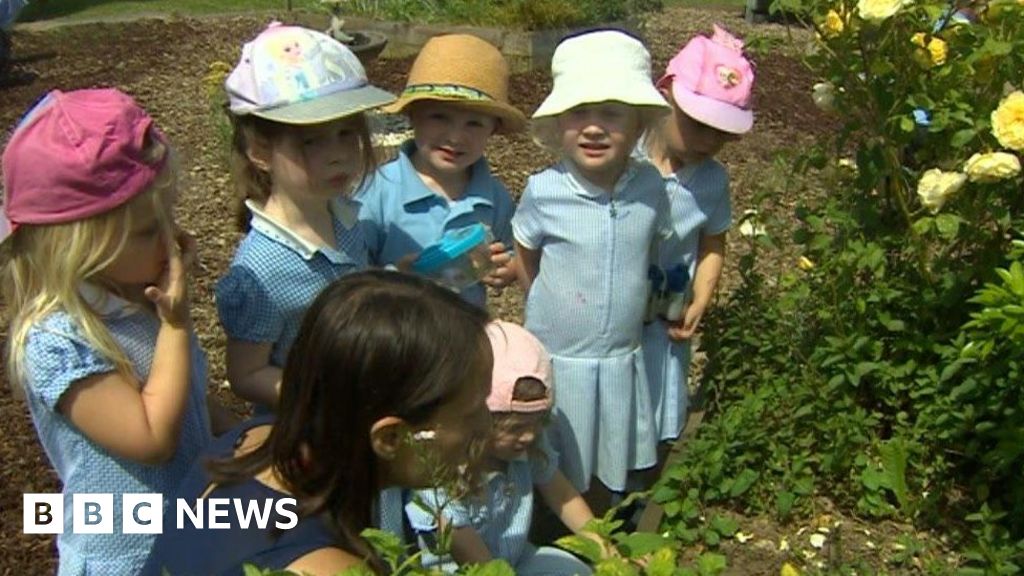 Estyn review: 'Stop inspections during curriculum change' - BBC News