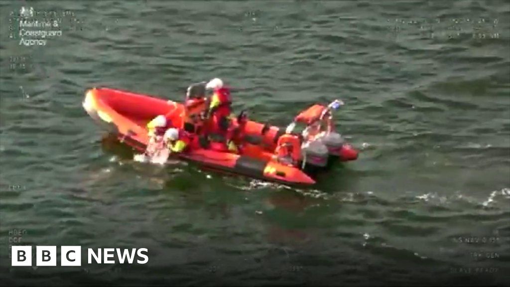 Scotland: Dog rescued at sea - BBC News