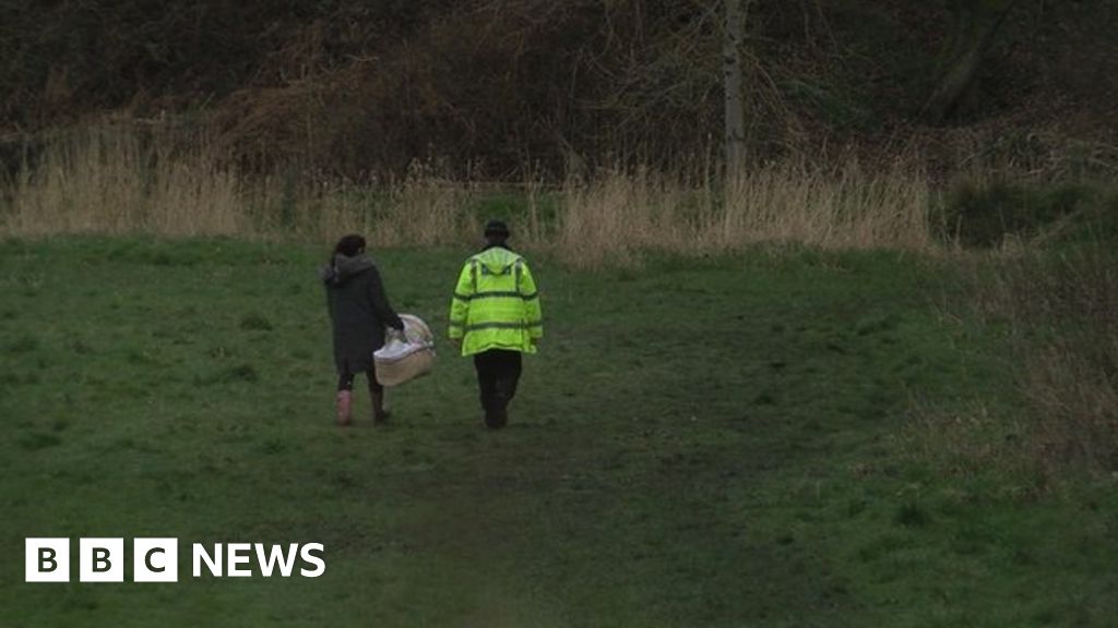 Newborn baby found dead in woodland in Rochdale - BBC News