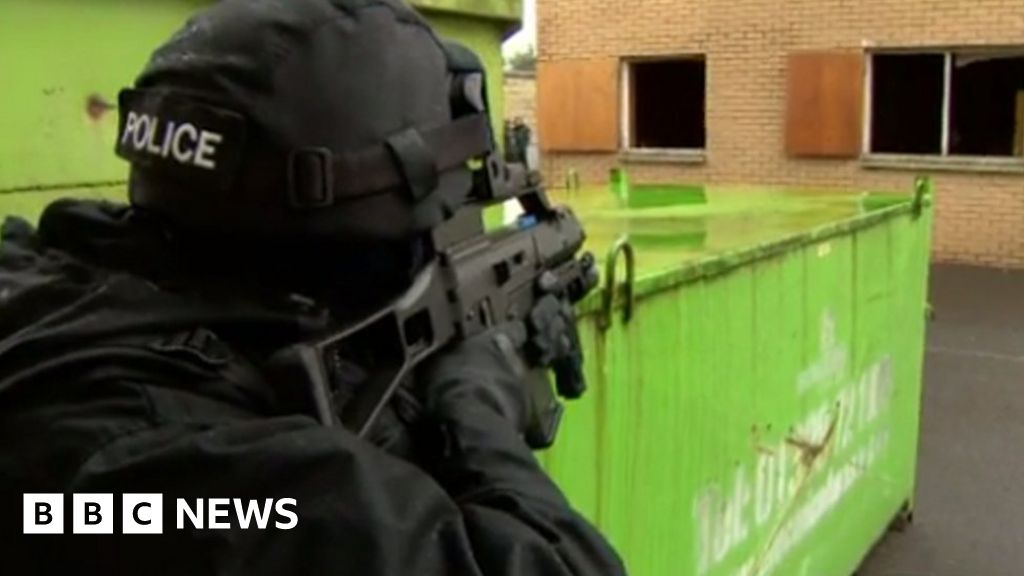 Scotland to increase armed police numbers - BBC News