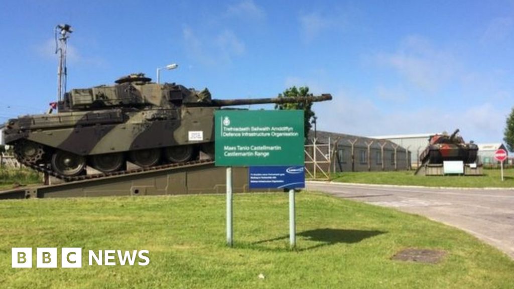 Eight cows killed at Castlemartin Army firing range - BBC News