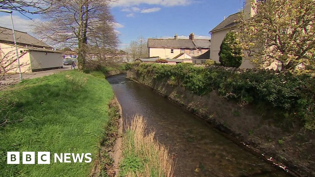 Man pulled from River Lemon in Newton Abbot - BBC News