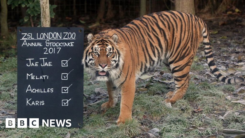 In pictures: London Zoo animals counted for stocktake - BBC News