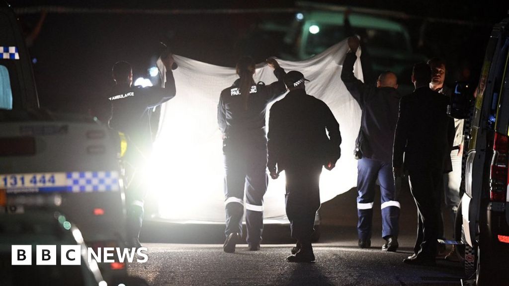 Sydney children murders 'planned' by father, police say