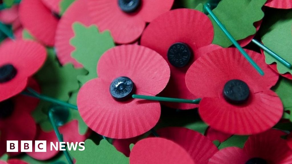 Red poppy to mark civilian victims of war and 'acts of terrorism'