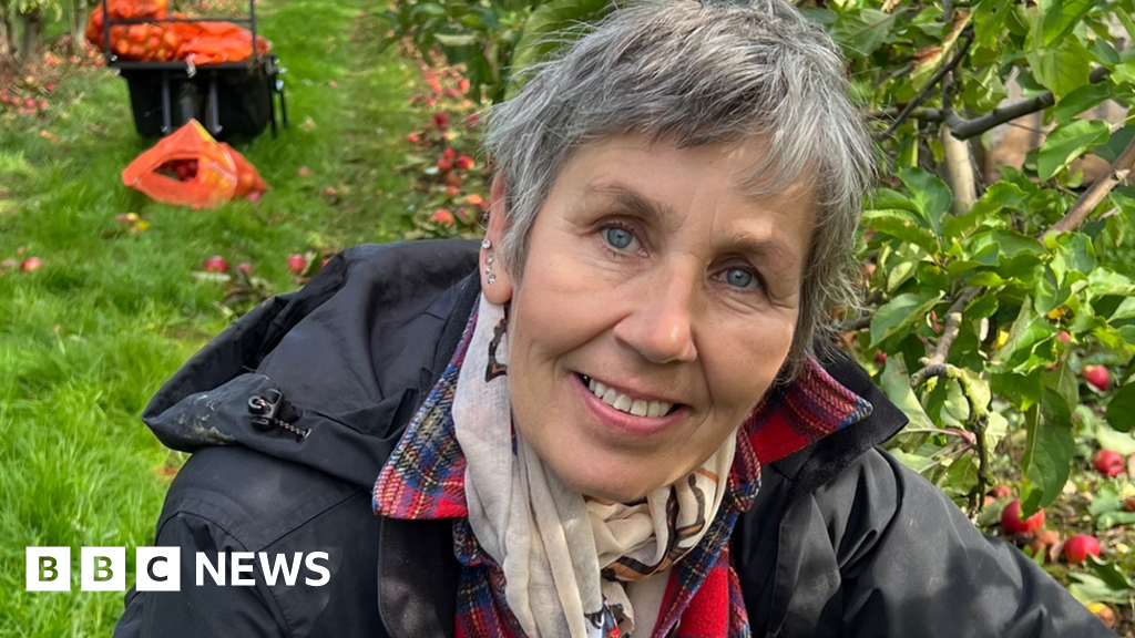 Bury St Edmunds food charity gleaning leftover apples from fields - BBC ...