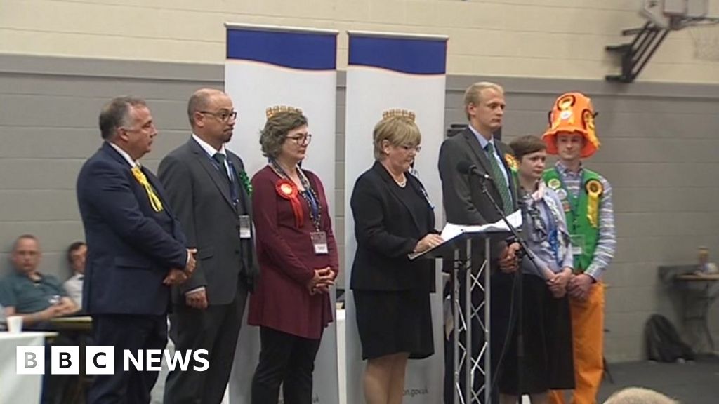 State of the parties: The Welsh Liberal Democrats - BBC News