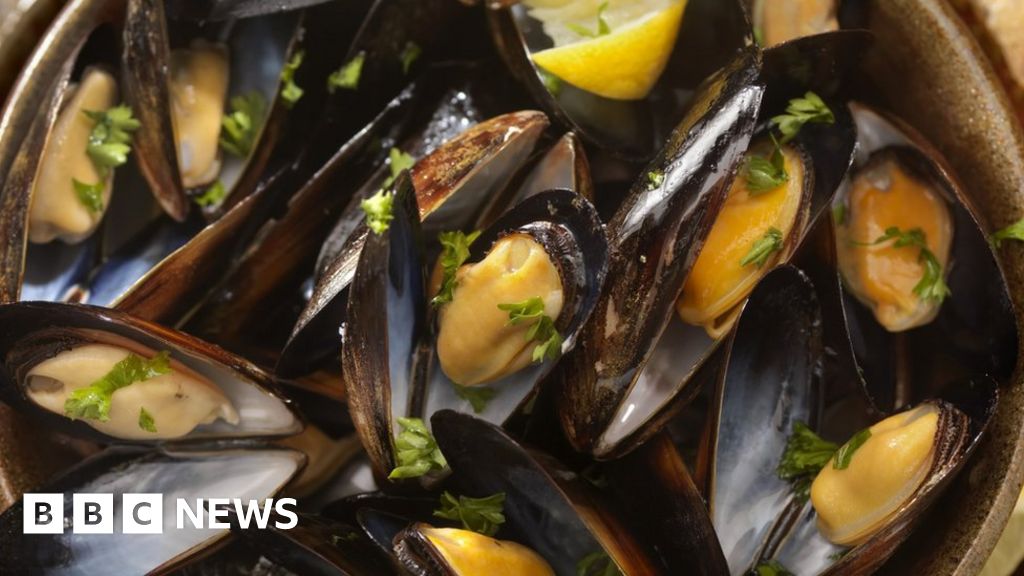 Conwy mussels: Plan to allow one company to control waters