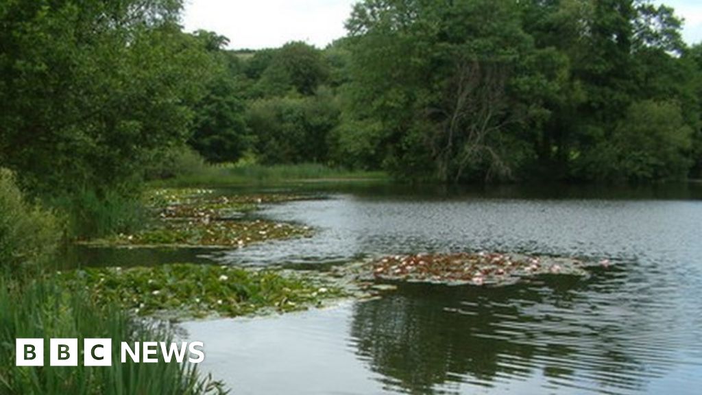 Llanelli man ordered to pay £600 for fly-tipping offences - BBC News