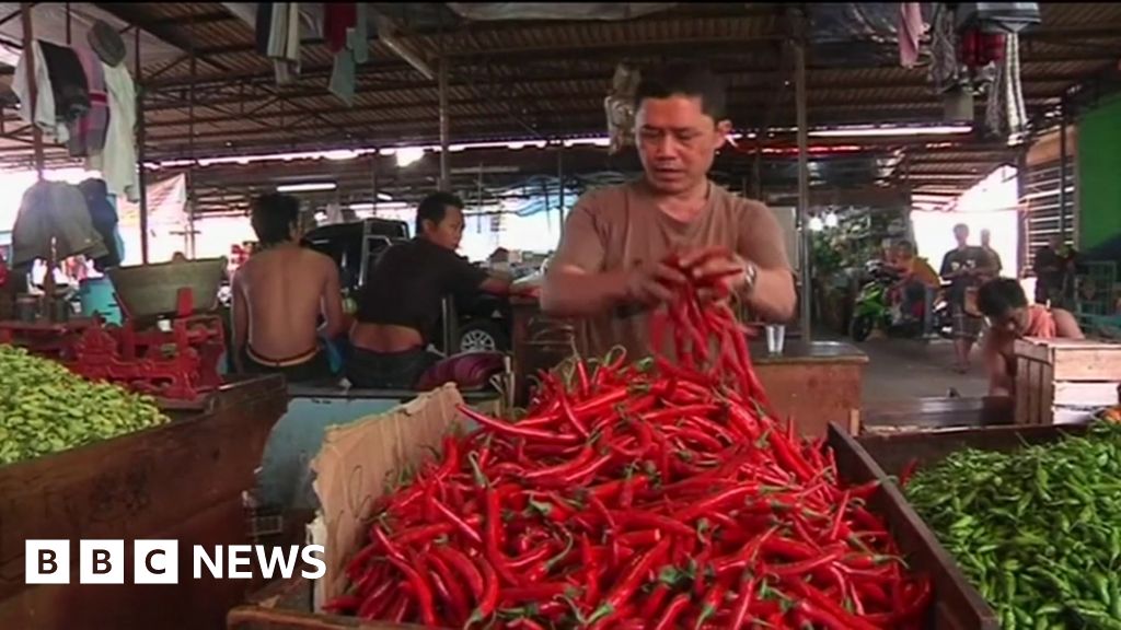 Indonesian chilli prices soaring - BBC News