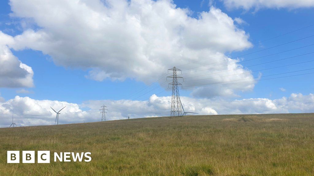 Electricity: Lack of capacity 'holds back green energy'
