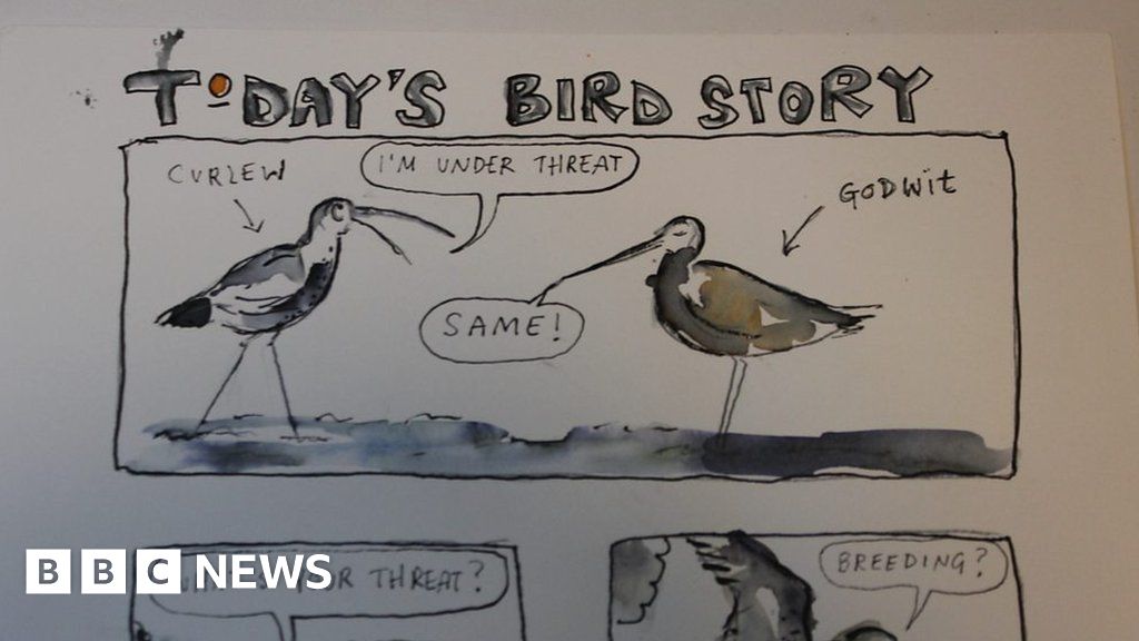 The Today programme's comic book makeover - BBC News