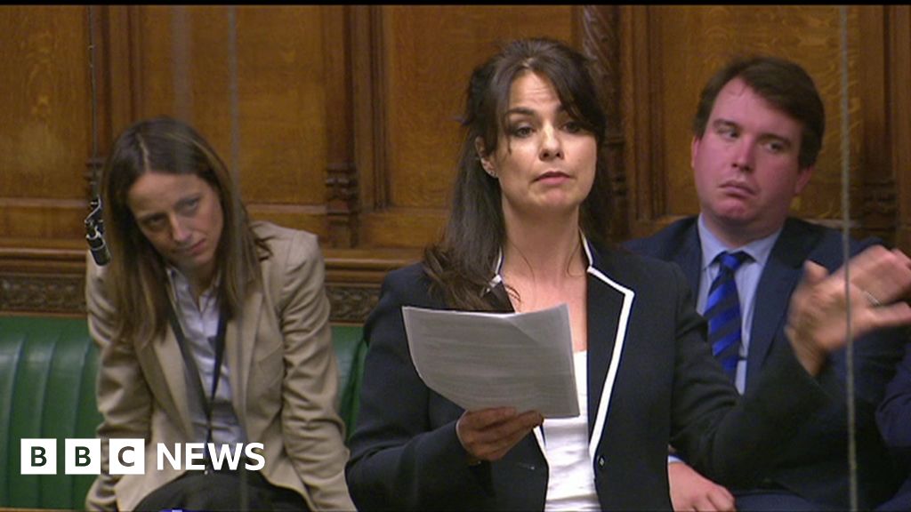 MP Heidi Allen warns tax credit cuts 'betray' Tory values - BBC News