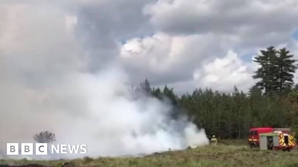 Wareham Forest: New fire breaks out at different spot - BBC News