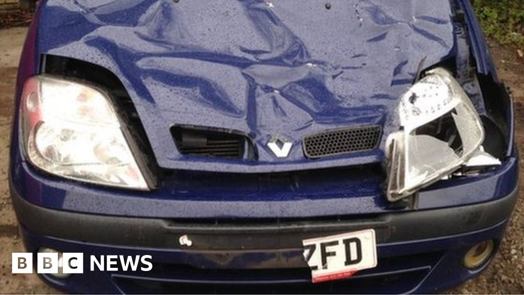 Woman 'could have been killed' in 40mph crash with cow - BBC News