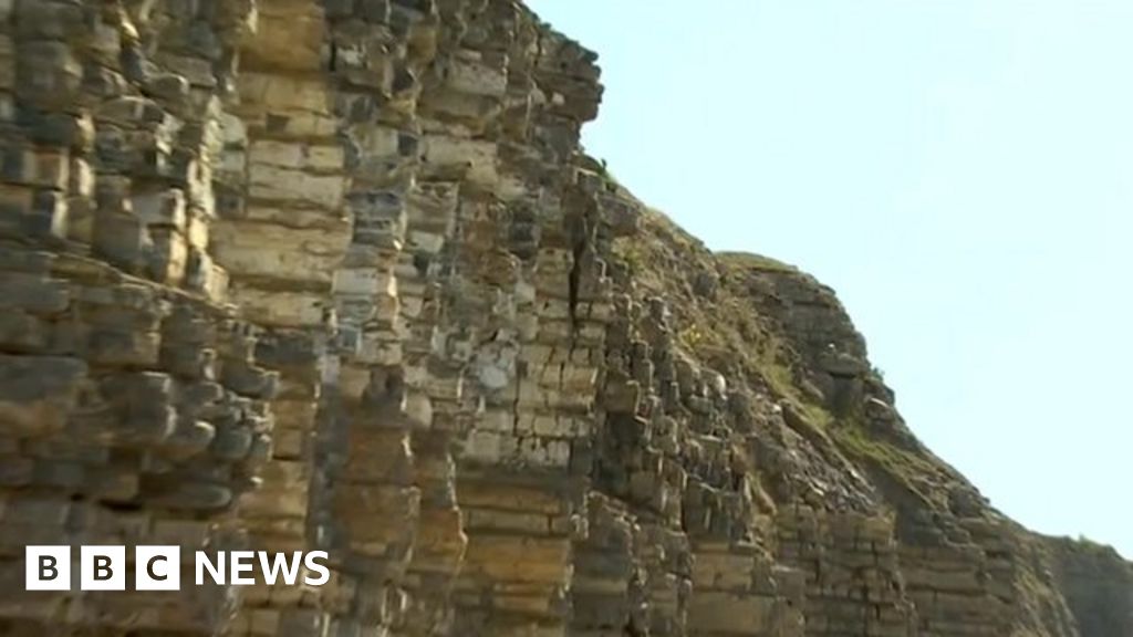 Woman dies after being hit by falling rock on beach - BBC News