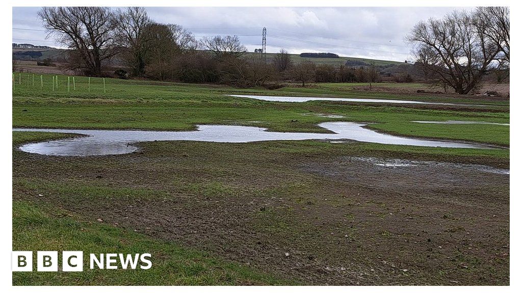 New wetland in Wilton to be planted with 20,000 native plants