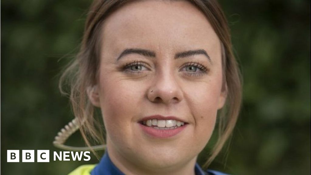Police car deaths: Woman third to die in 24 hours