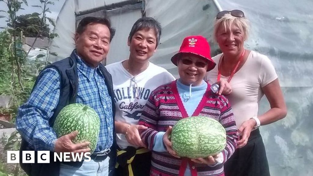 Swansea's Chinese community connecting in retirement - BBC News