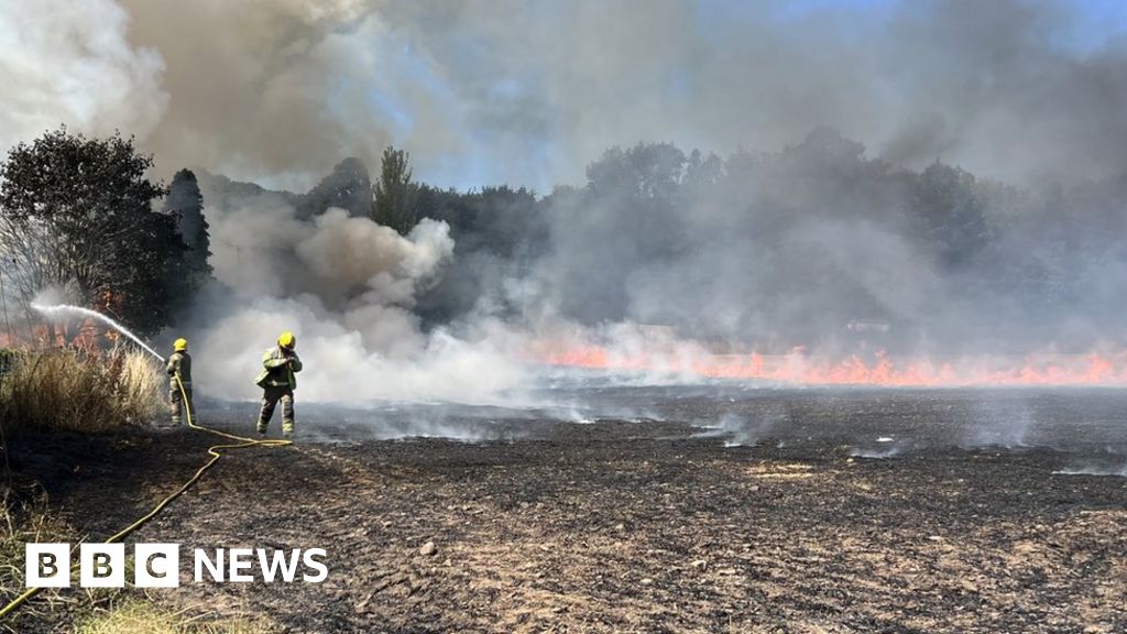 Great Witley field fire moved at 'an alarming rate' - BBC News