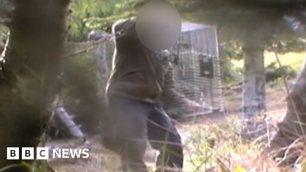 Raptor killing video decisions queried - BBC News