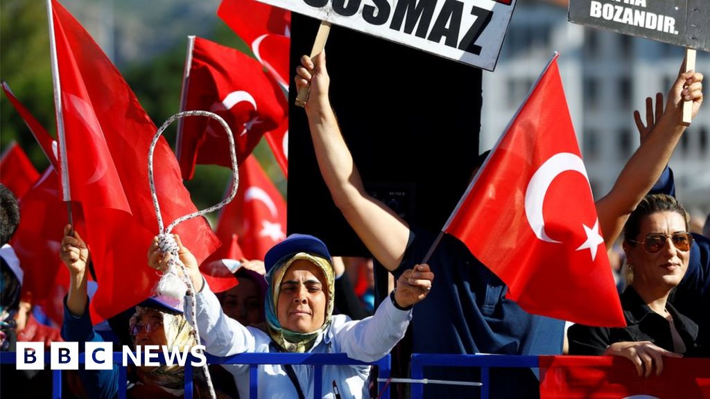 Erdogan assassination plot: Turkish court sentences dozens