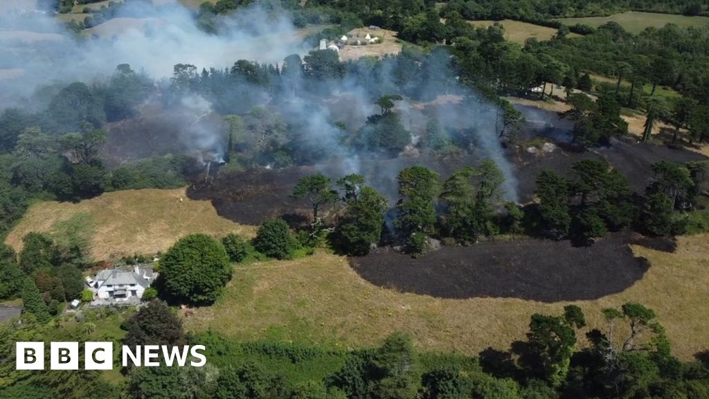 Wildfire breaks out in Truro, Cornwall - BBC News
